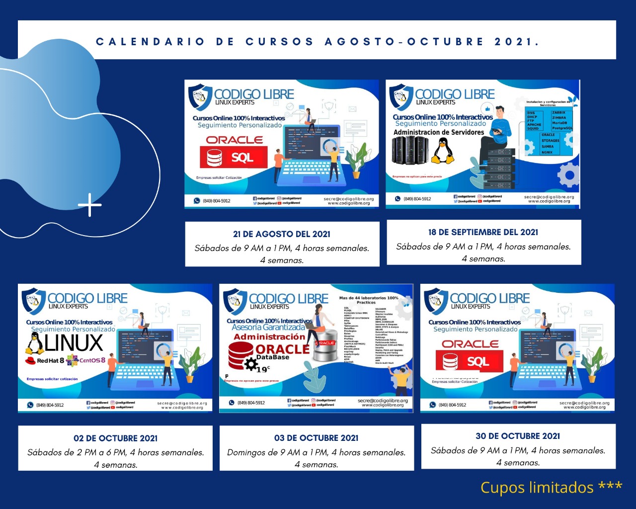 Cursos - Código Libre